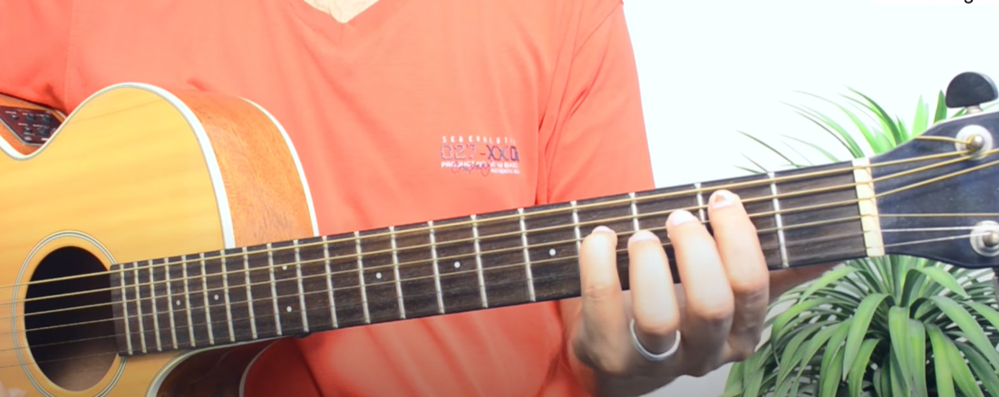 Easy Pink Floyd Songs on Guitar - MusicProfy
