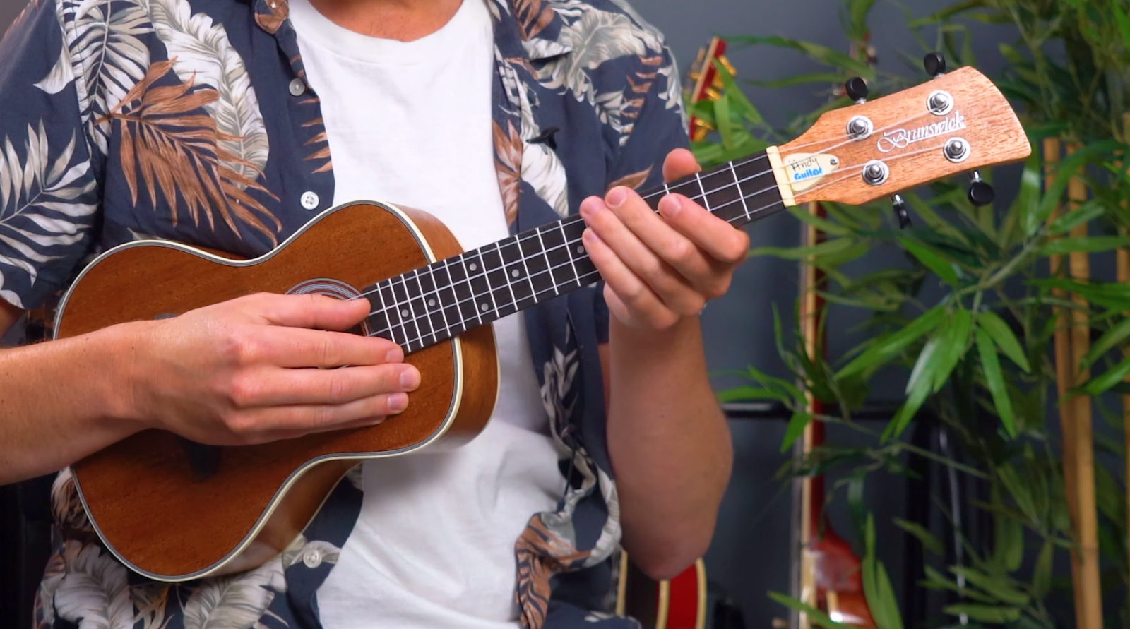 Easy Beatles Ukulele Songs - MusicProfy